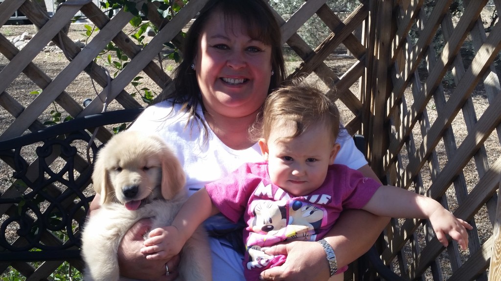 Roni – Golden Angels Kennels