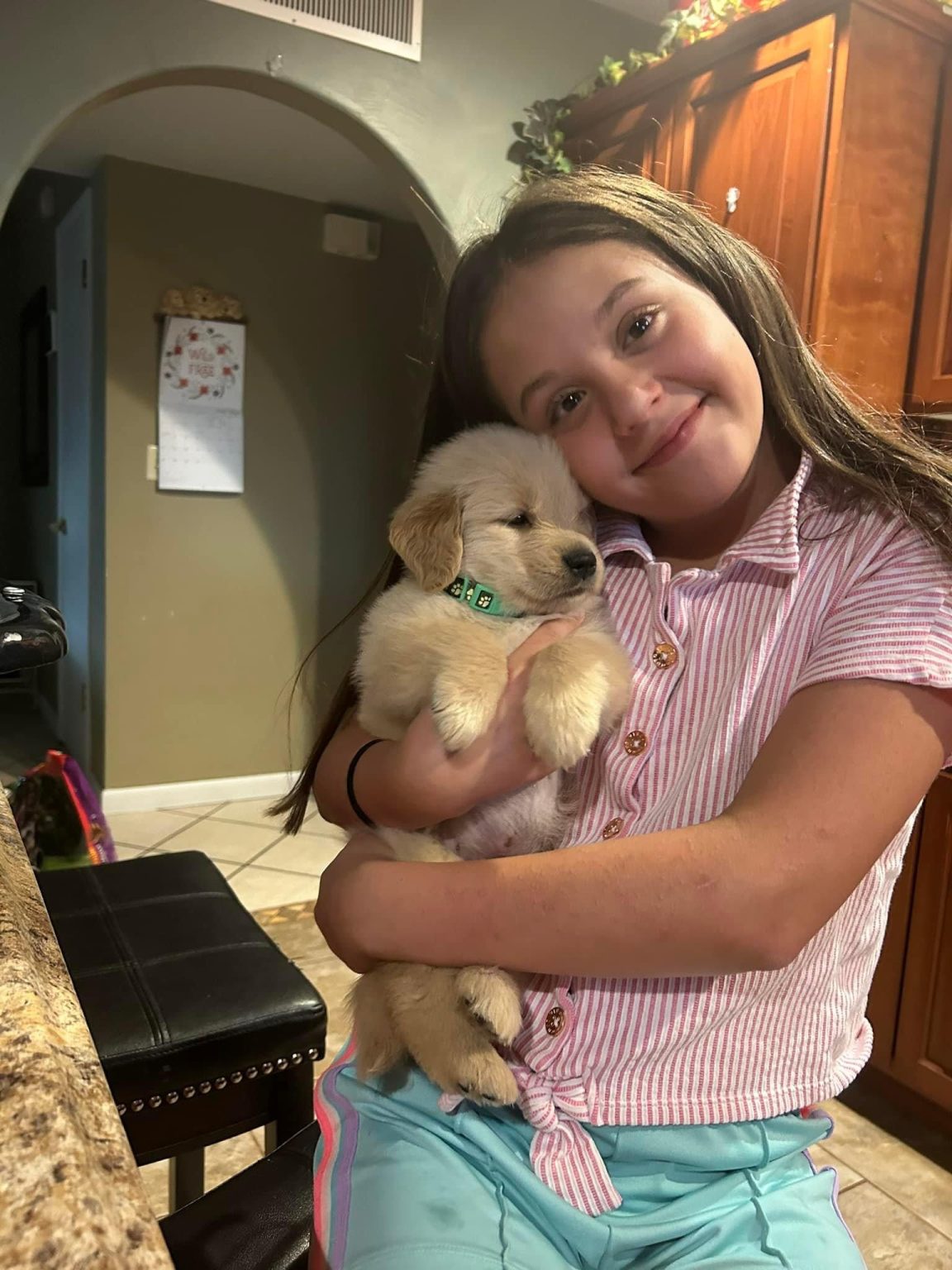 Golden Angels Kennels – Golden Retrievers, Arizona